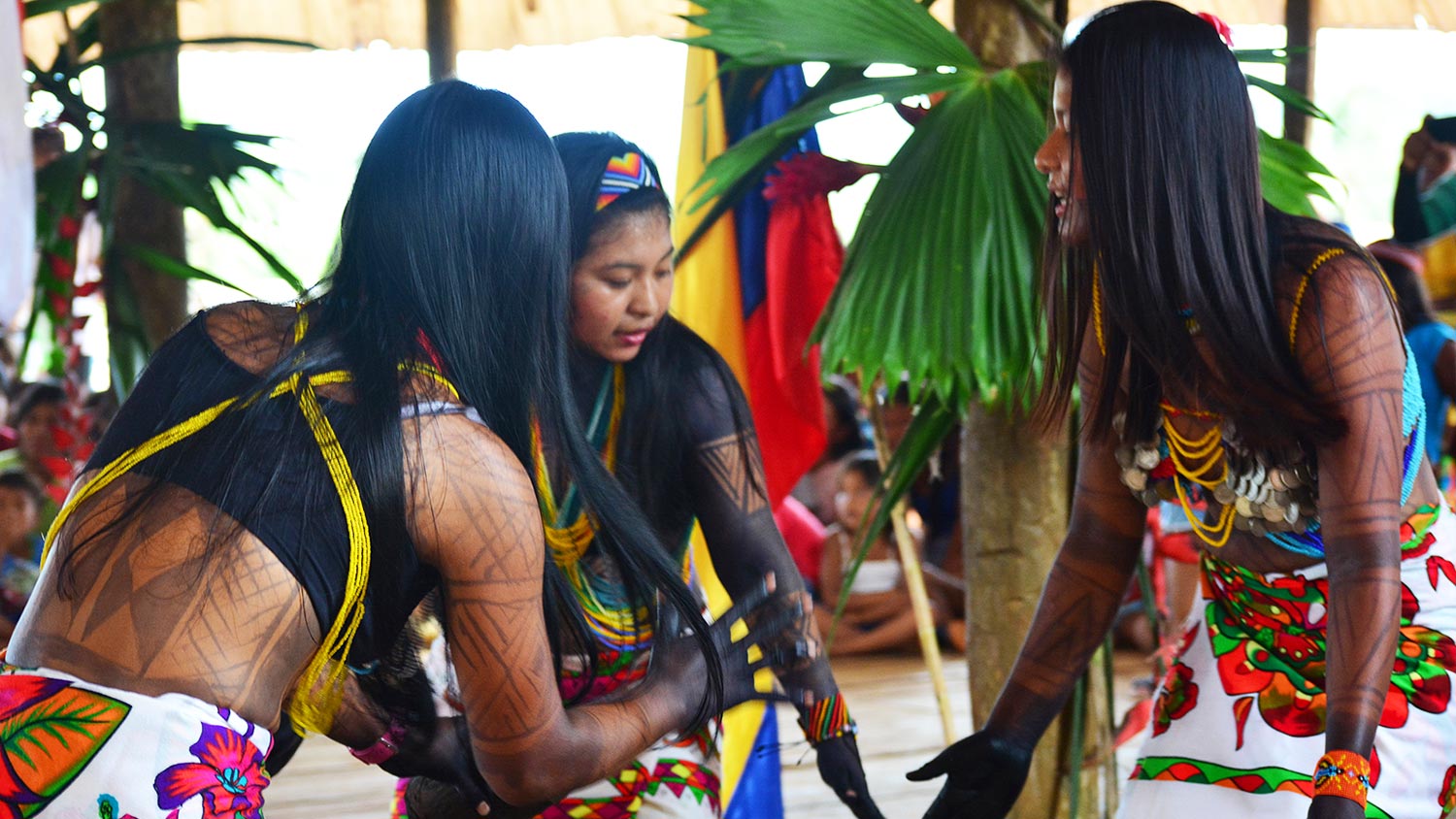 Atención y protección a comunidades Emberas - Microempresas